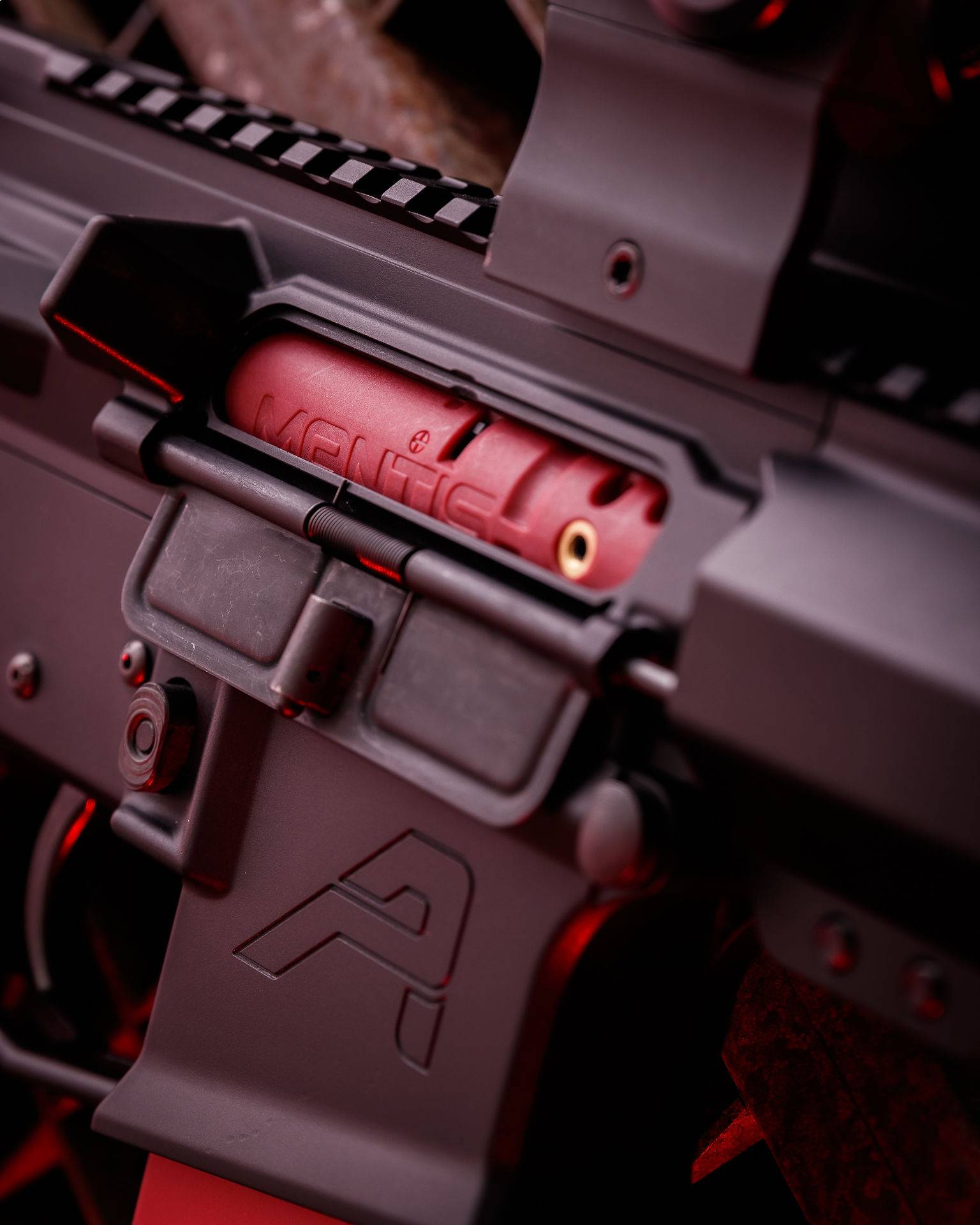 Blackbeard BCG | Mantis